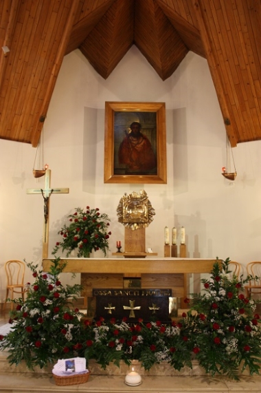 St. Brother Albert - Albertine Sisters