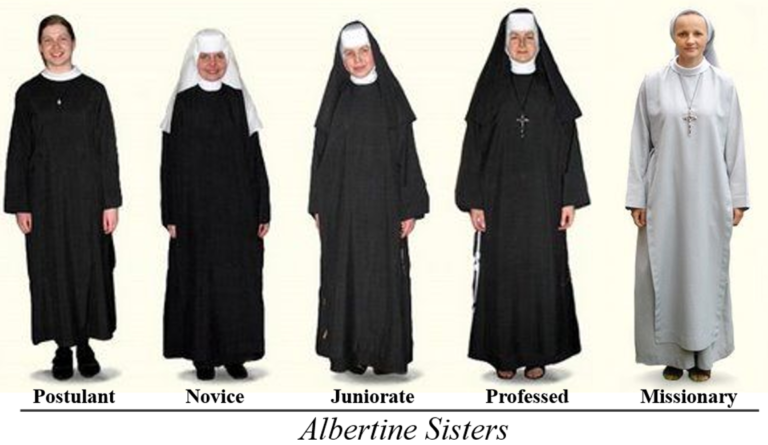 Habit - Albertine Sisters